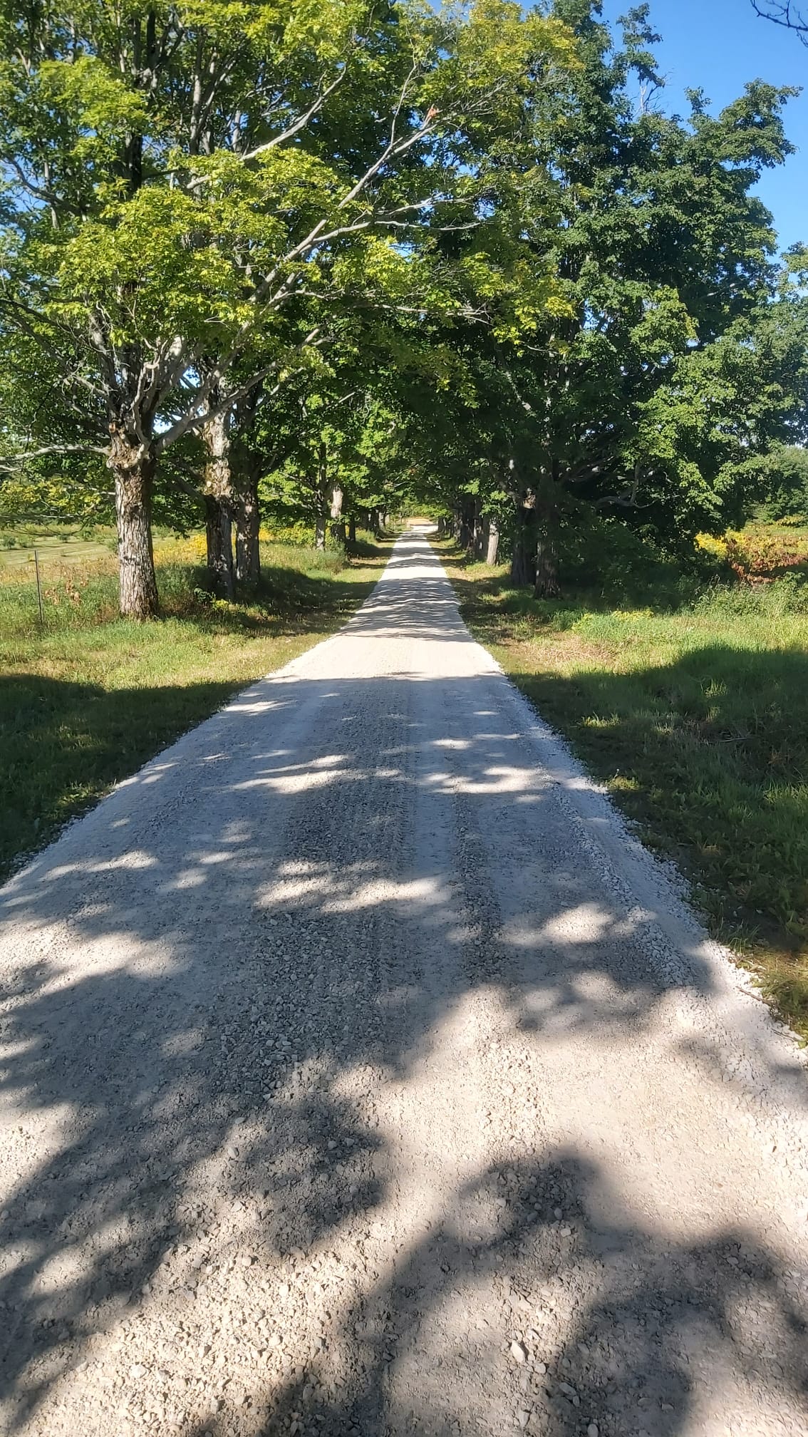 Driveway Make Overs - Blue Mountain Gravel Driveways - Blue Mountain ...