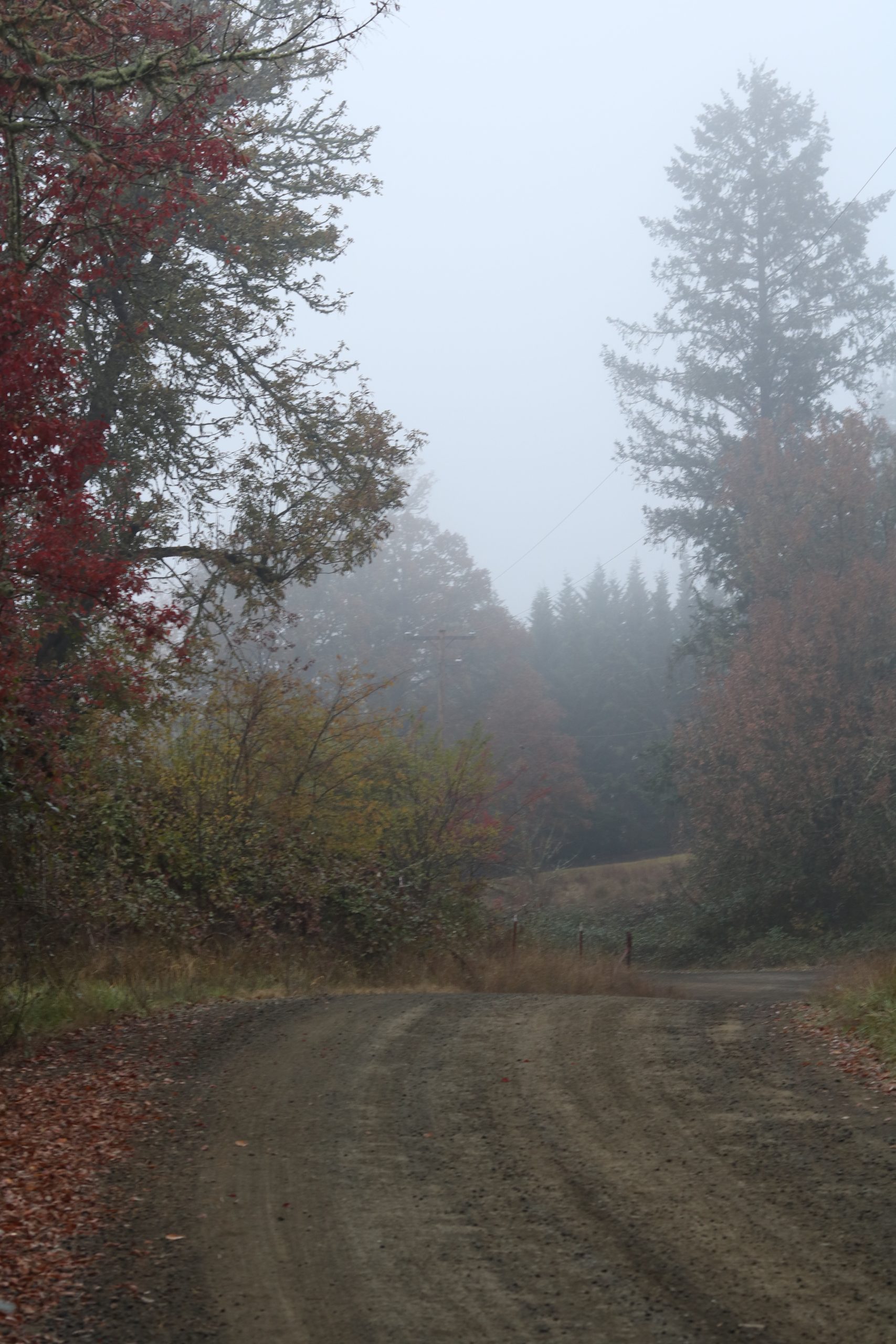 Wasaga Beach Unassumed Road Maintenance
